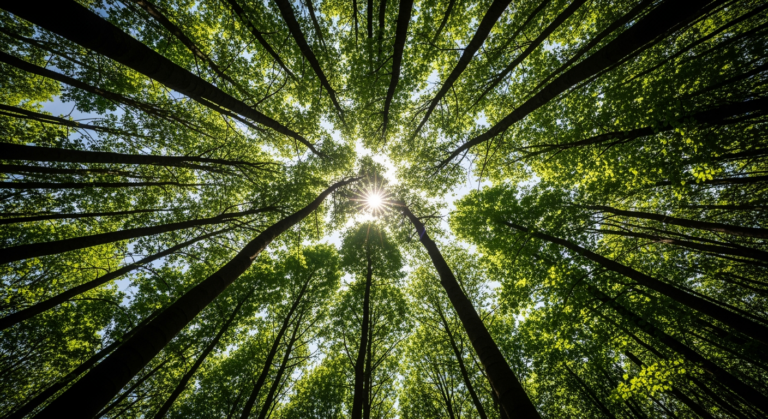 TNFD and Nature-Related Financial Disclosures: Biodiversity Risk ...